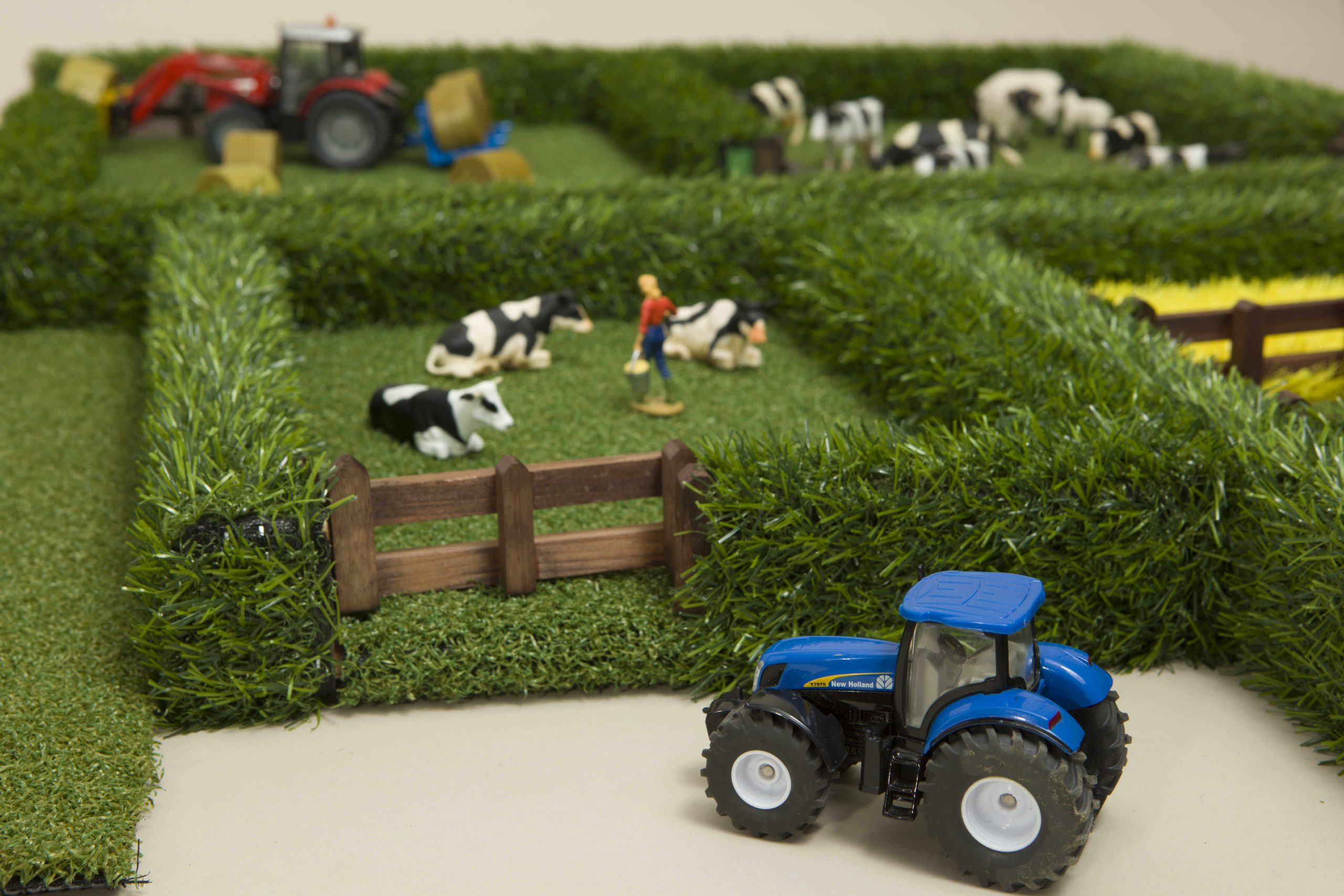 Class Grass - Western Development Commission