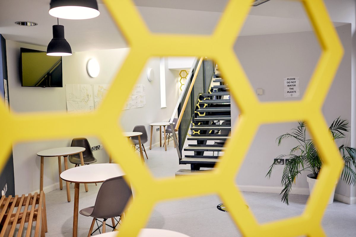 Western Development Commission launches industry focused Image Bank for ...